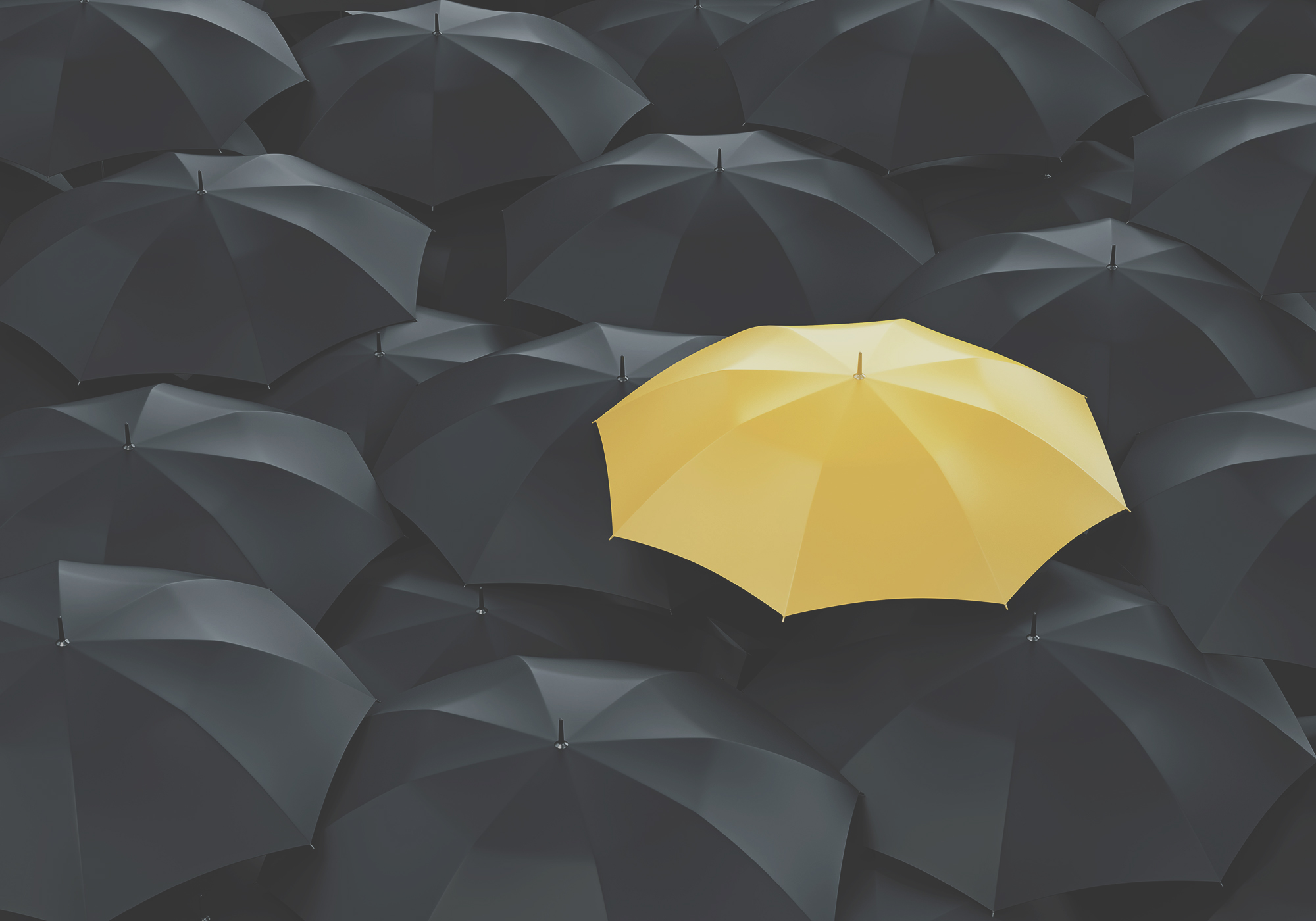 What does your business stand for? - Brace Creative Agency